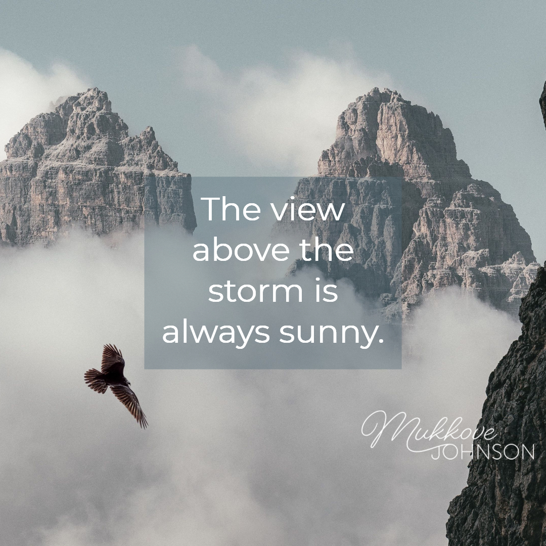 Run into the Storm - Mukkove Johnson